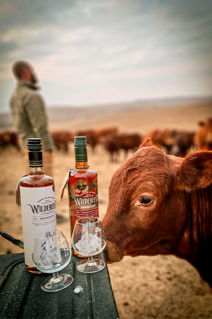 Store Locator – Wildebeest Brandewyn